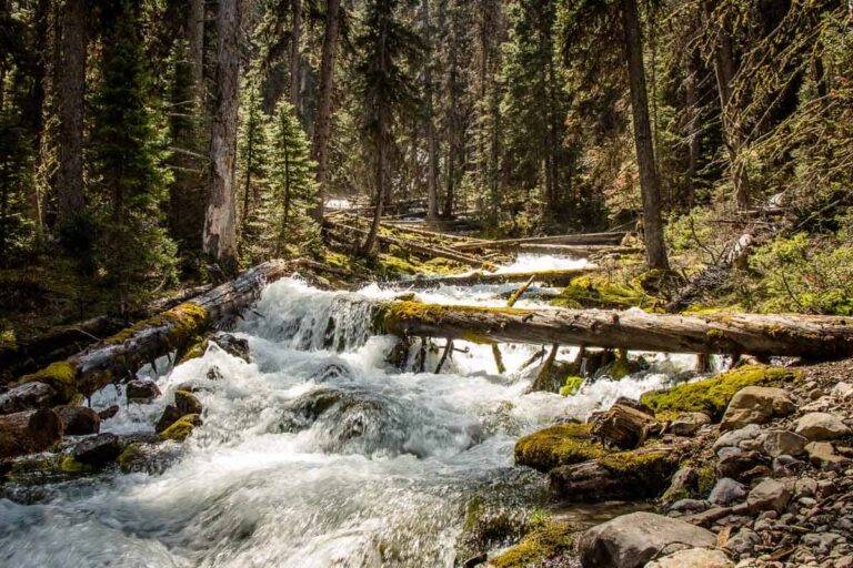 Karst Spring Trail in Kananaskis Country - Travel Banff Canada