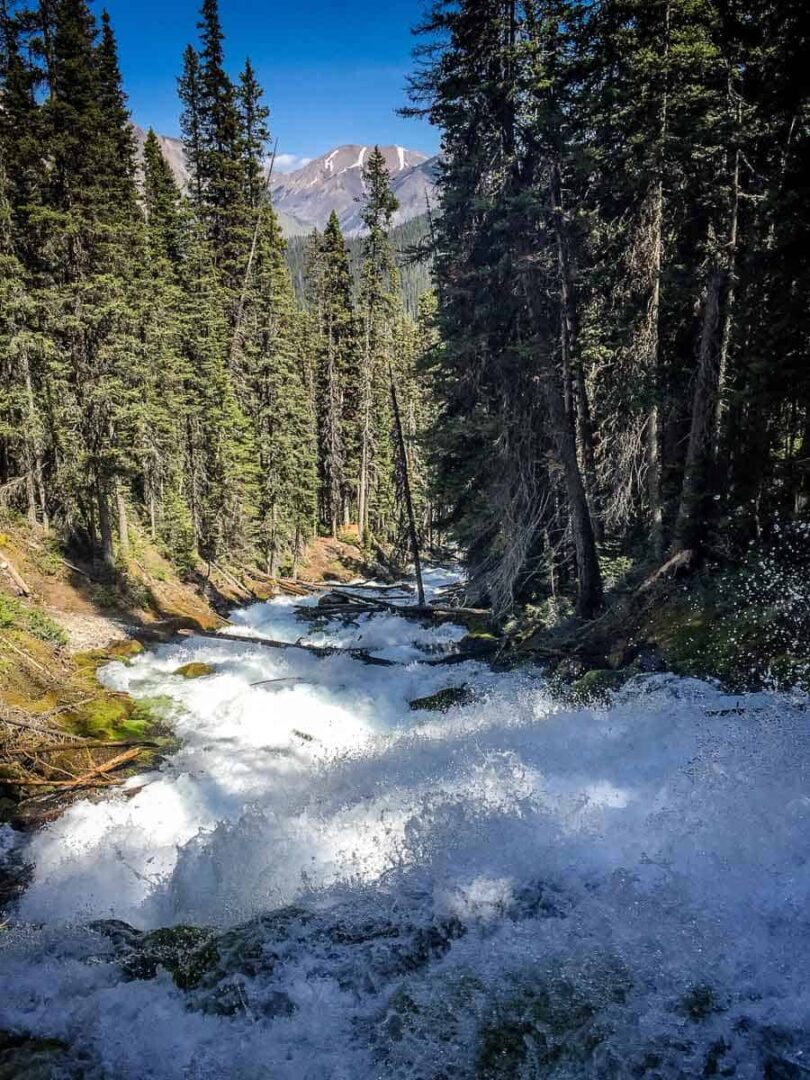 13 Easy Kananaskis Hikes You’ll Love - Travel Banff Canada