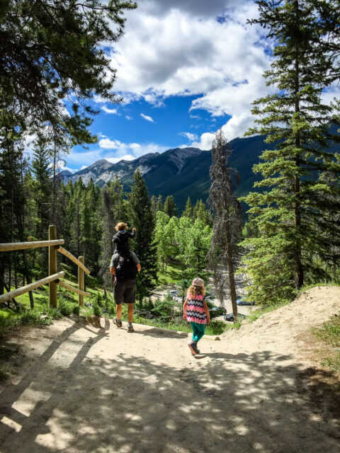 15 Easy Hikes in Banff National Park - Travel Banff Canada