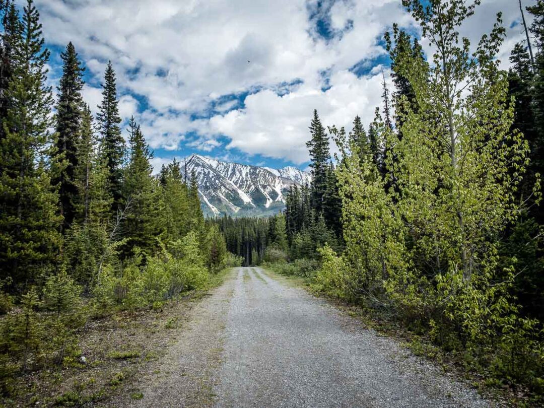 8 Kid-Friendly Bike Trails in Banff and Kananaskis - Travel Banff Canada