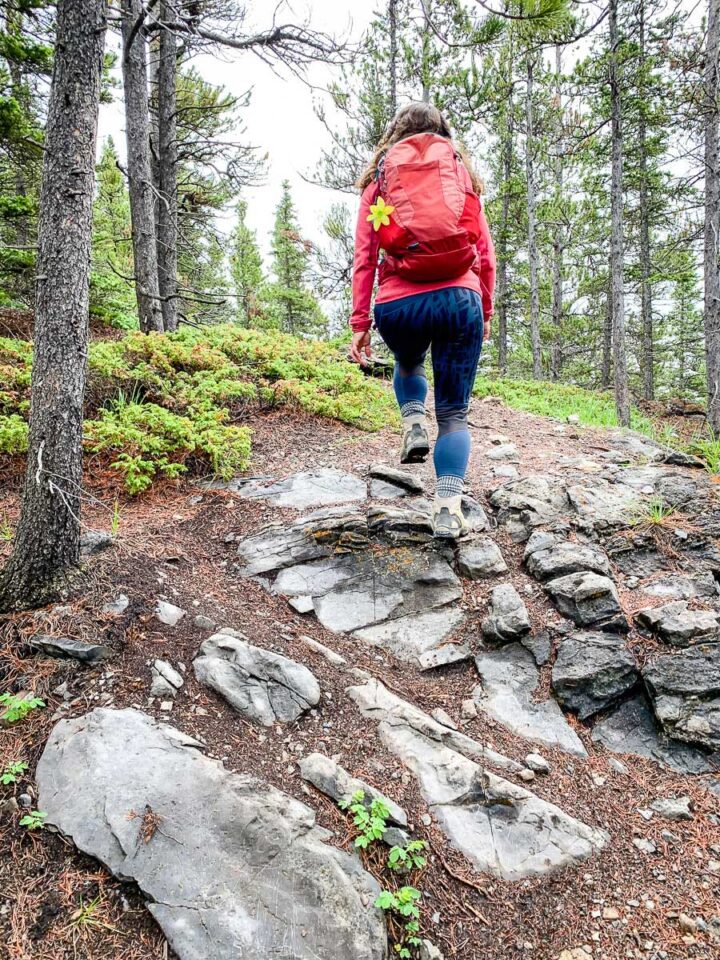 East End of Rundle Hike (EEOR) in Kananaskis - Travel Banff Canada