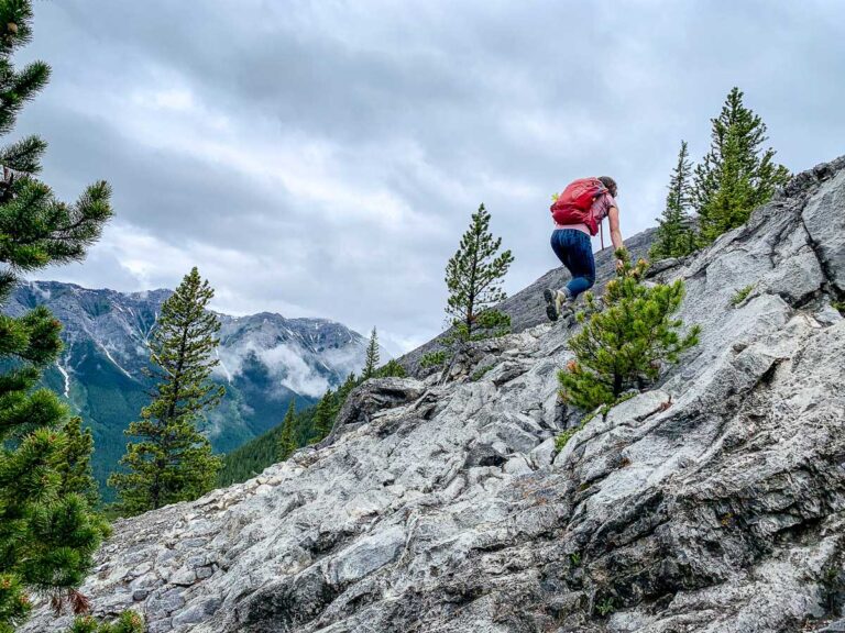 Sarrail Ridge Hike in Kananaskis - Travel Banff Canada