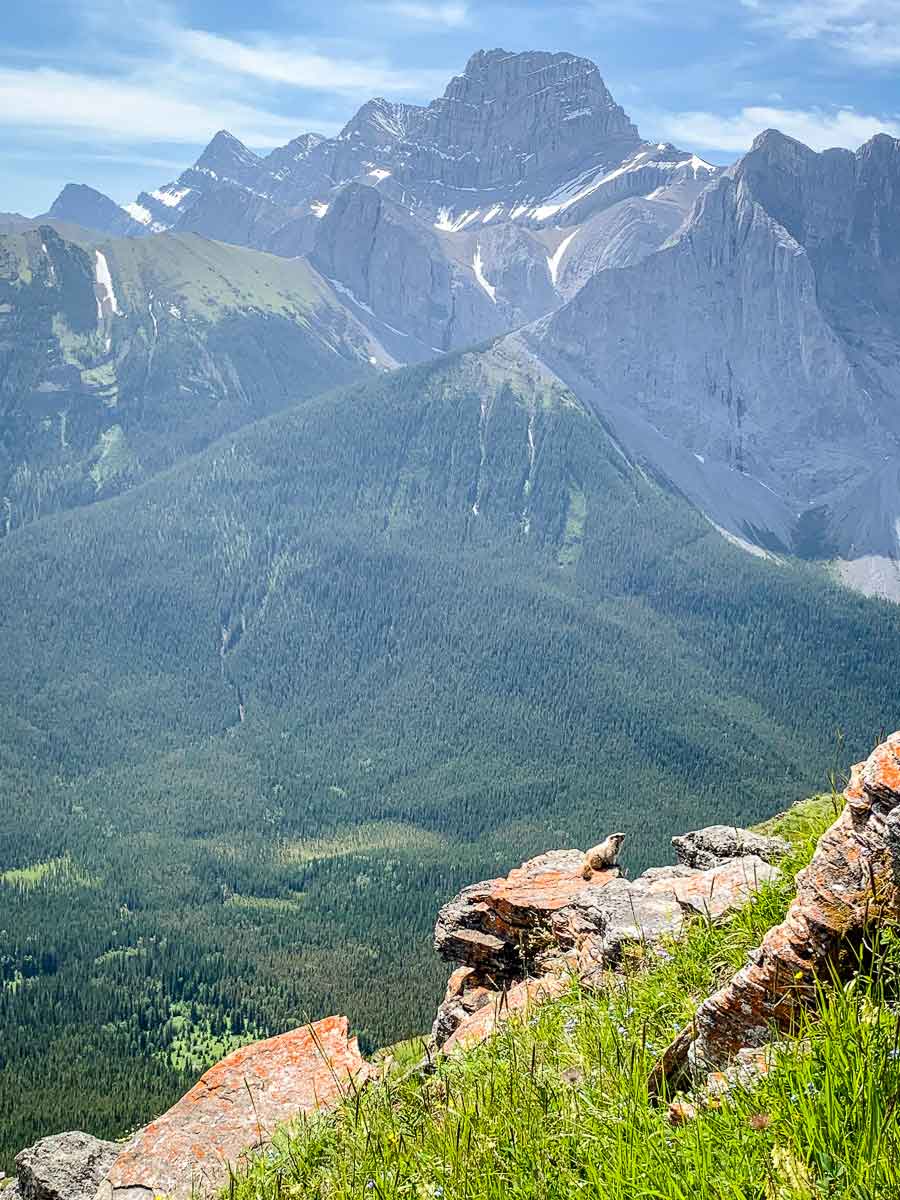 Wind Ridge Hike in Kananaskis Country - Travel Banff Canada