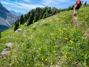 Wind Ridge Hike – Kananaskis Country - Travel Banff Canada