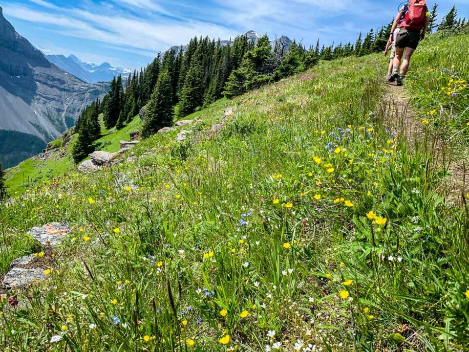 Wind Ridge Hike in Kananaskis Country - Travel Banff Canada