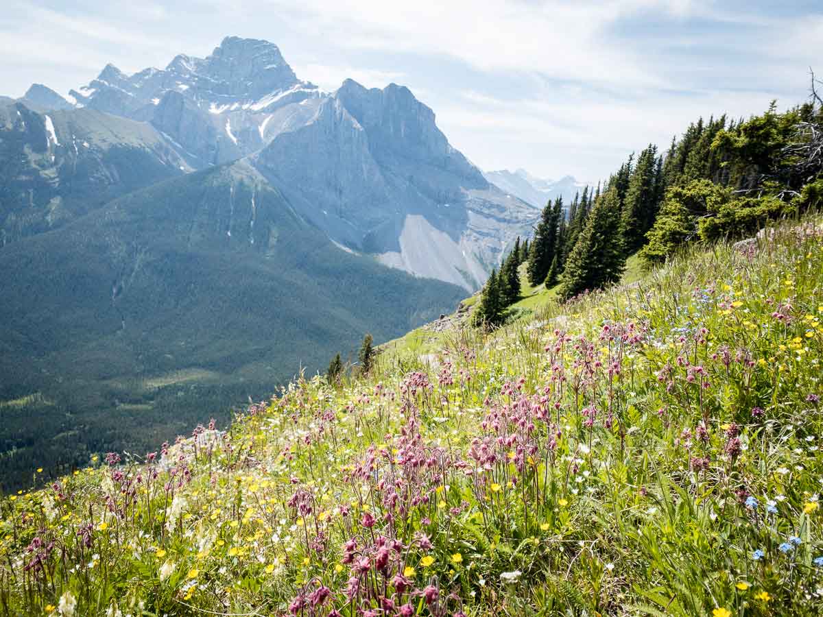 Wind Ridge Hike – Kananaskis Country - Travel Banff Canada