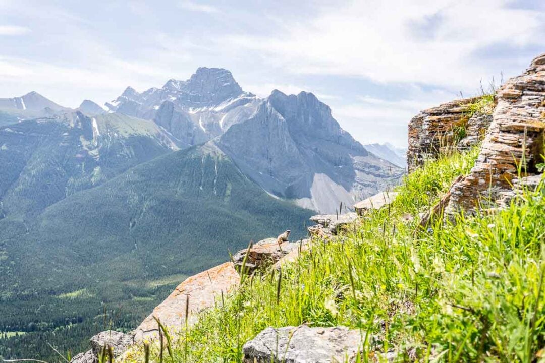 Wind Ridge Hike in Kananaskis Country - Travel Banff Canada