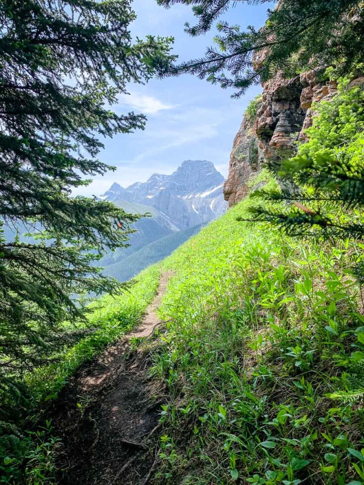 The 15 Best Hikes in Kananaskis - Travel Banff Canada