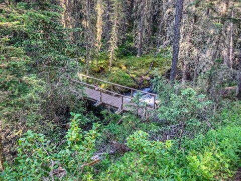 Wind Ridge Hike in Kananaskis Country - Travel Banff Canada