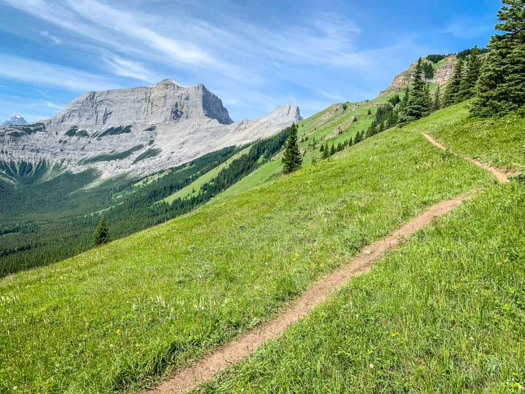 Wind Ridge Hike in Kananaskis Country - Travel Banff Canada