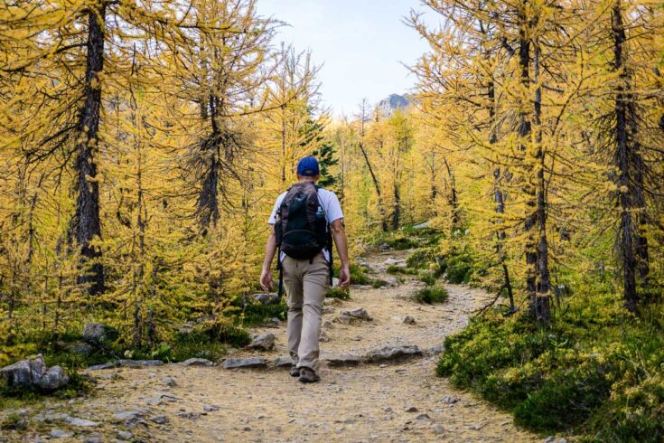 Visiting Banff in September: What You NEED to Know - Travel Banff Canada