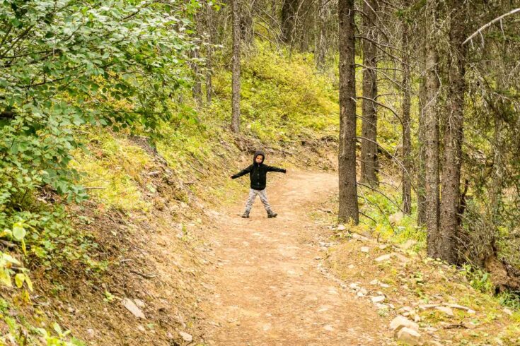 Blackshale Suspension Bridge Hike in Kananaskis Country - Travel Banff ...