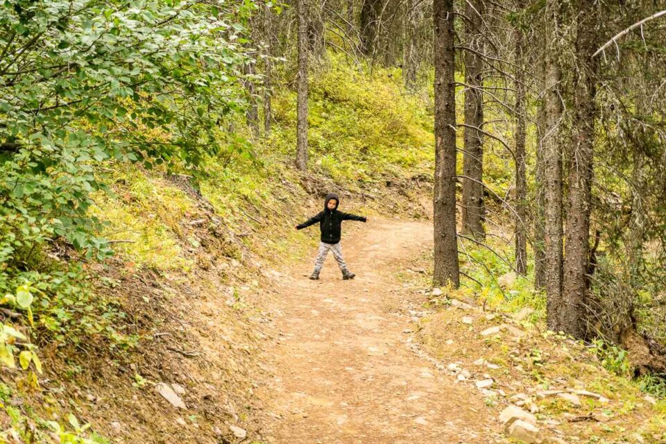 Blackshale Suspension Bridge Hike in Kananaskis Country - Travel Banff ...