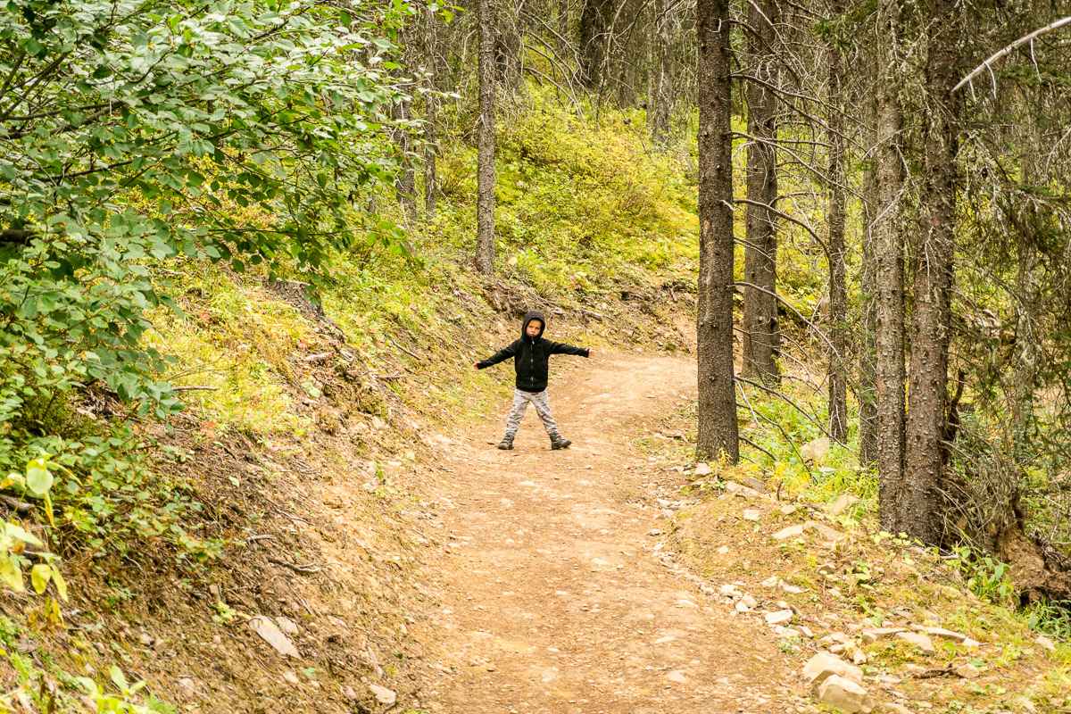 Blackshale Suspension Bridge Hike in Kananaskis Country - Travel Banff ...
