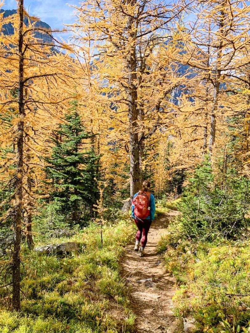 Banff in September: Weather, Fall Tips & Things to Do - Travel Banff Canada