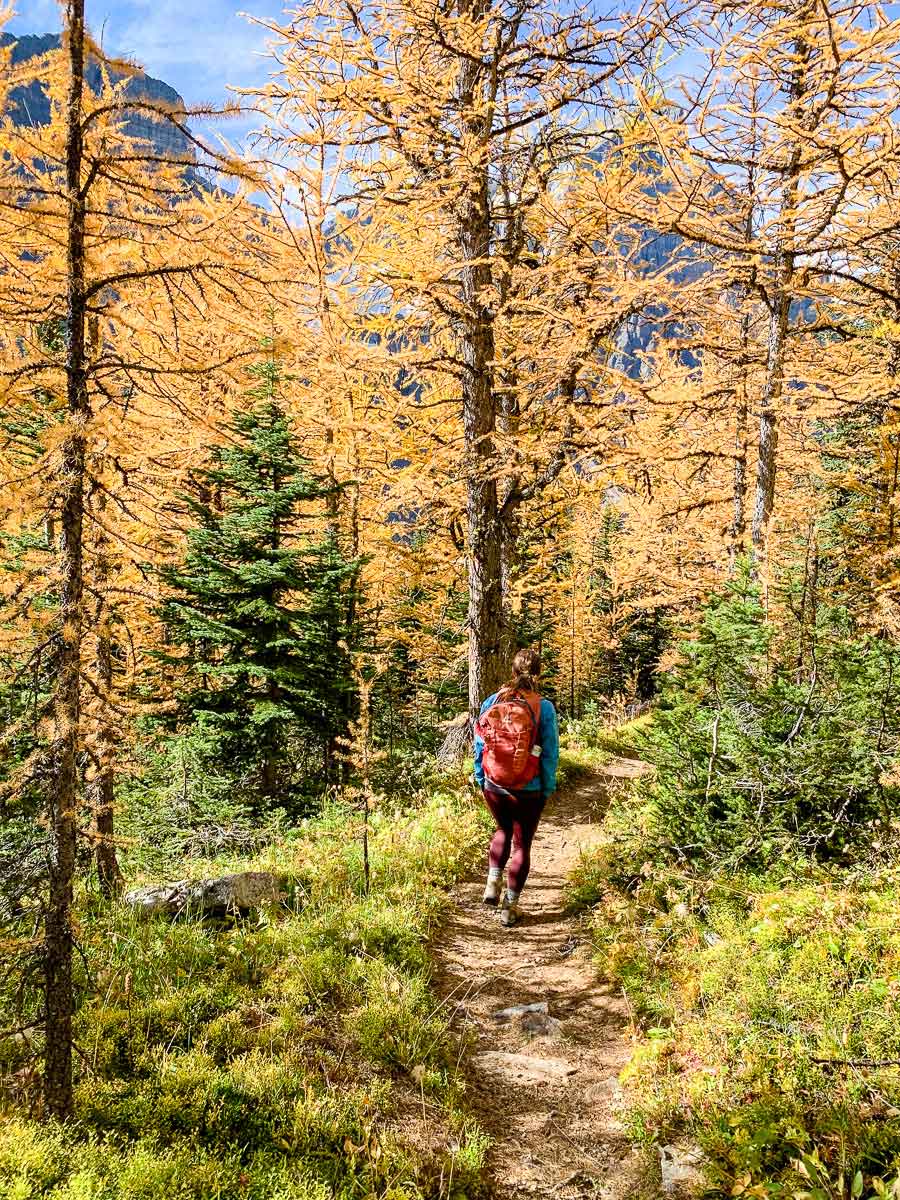 Visiting Banff in September: What You NEED to Know - Travel Banff Canada