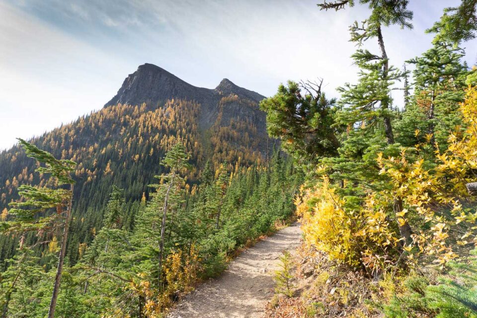 Saddleback Mountain Hike in Banff National Park - Travel Banff Canada