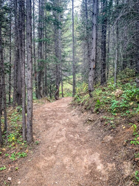 Blackshale Suspension Bridge Hike in Kananaskis Country - Travel Banff ...