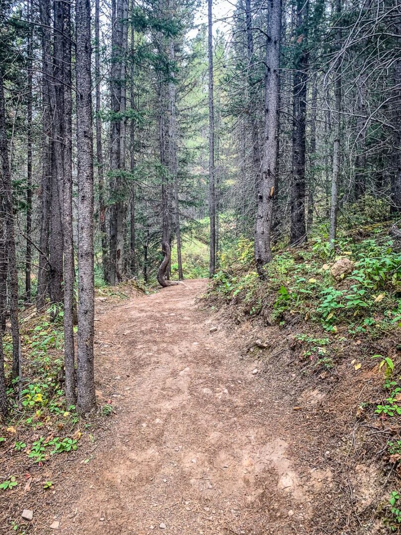 Blackshale Suspension Bridge Hike in Kananaskis Country - Travel Banff ...