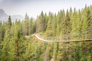 Blackshale Suspension Bridge Hike in Kananaskis Country - Travel Banff ...