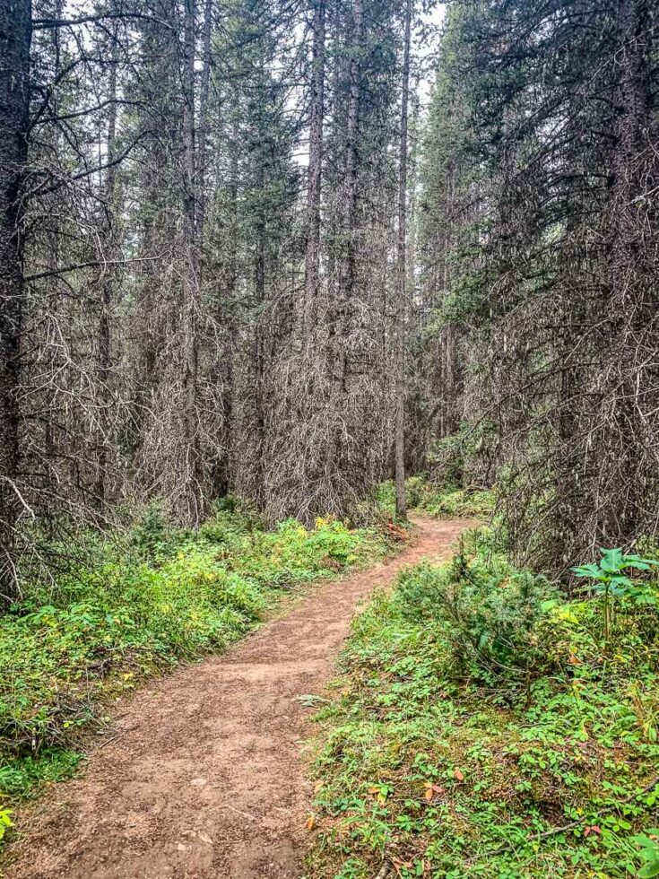 Blackshale Suspension Bridge Hike in Kananaskis Country - Travel Banff ...