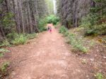 Blackshale Suspension Bridge Hike in Kananaskis Country - Travel Banff ...