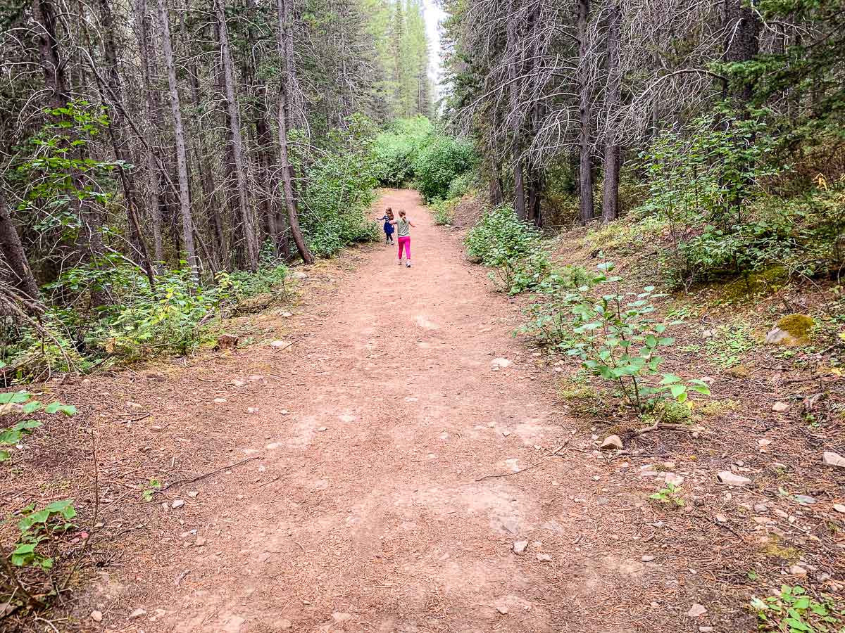 Blackshale Suspension Bridge Hike in Kananaskis Country - Travel Banff ...