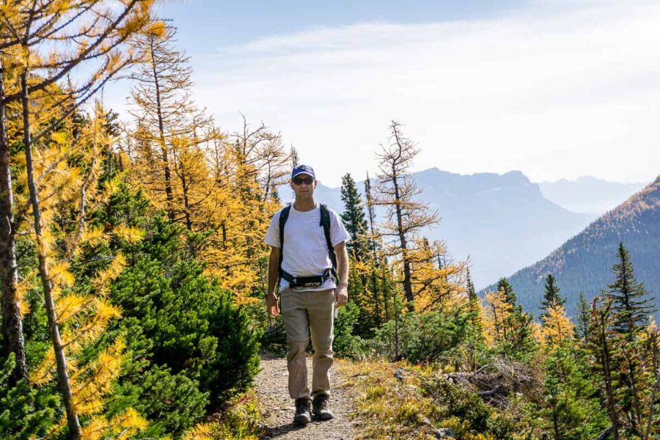 17 INCREDIBLE Larch Hikes in Banff National Park for 2025 - Travel ...