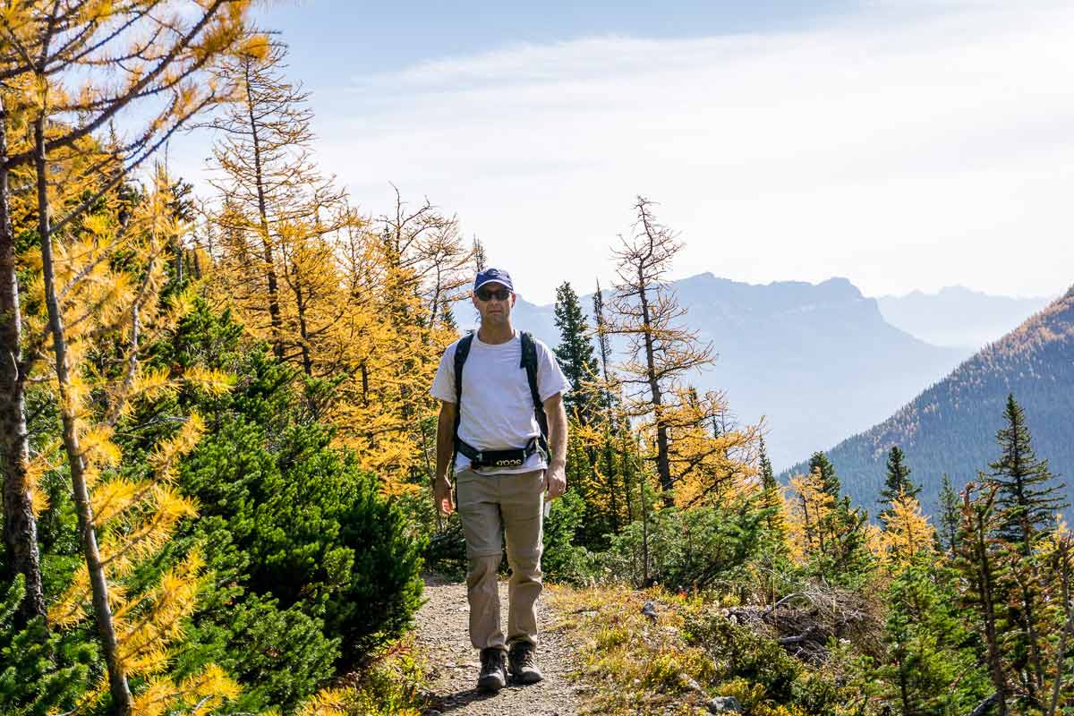 17 INCREDIBLE Larch Hikes in Banff National Park for 2025 - Travel ...