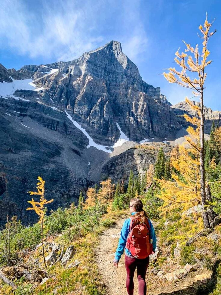 Saddleback Mountain Hike in Banff National Park - Travel Banff Canada