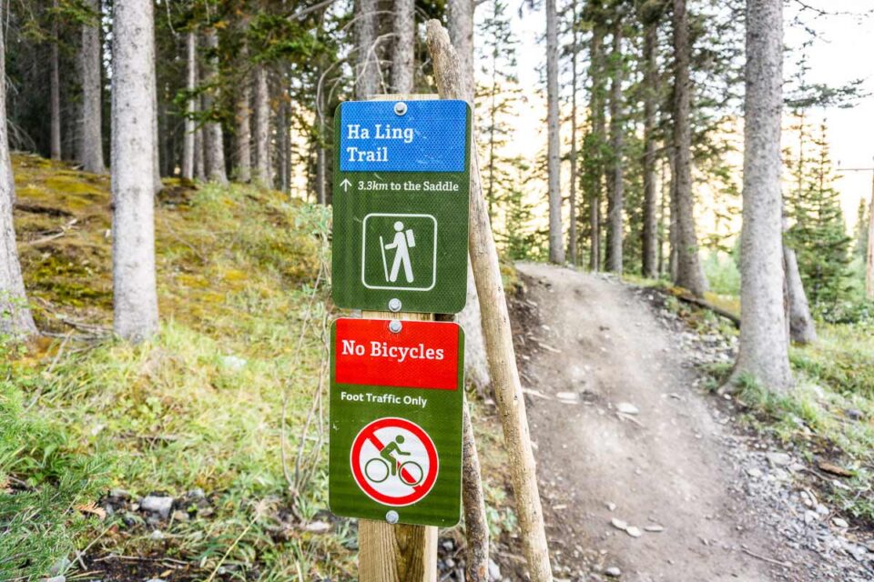 Ha Ling Peak Hike in Kananaskis Country - Travel Banff Canada