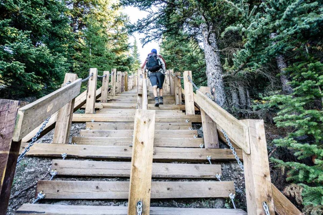 Ha Ling Peak Hike (Canmore): Trail Info, Parking + Tips - Travel Banff ...