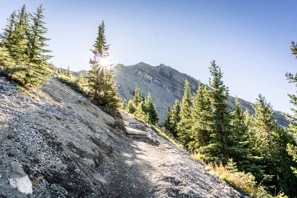 Ha Ling Peak Hike in Kananaskis Country - Travel Banff Canada