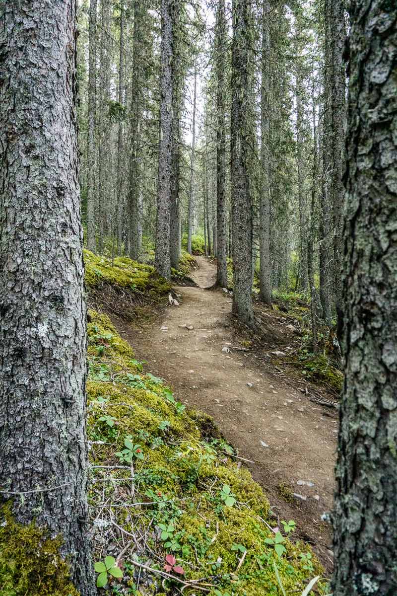 Ha Ling Peak Hike (Canmore): Trail Info, Parking + Tips - Travel Banff ...