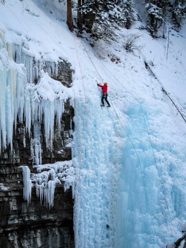 14 Easy Winter Hikes in Banff and Area - Travel Banff Canada