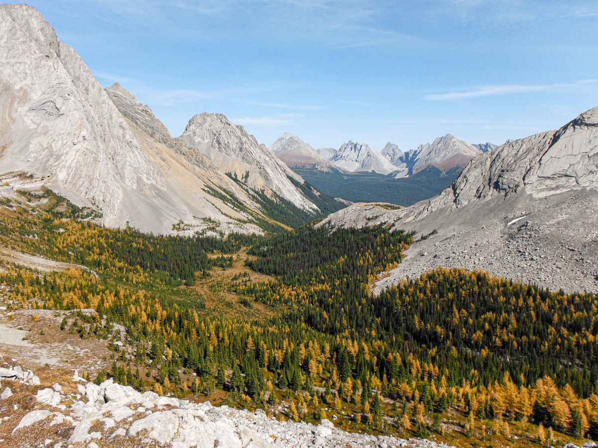 7 Great Larch Hikes in Alberta - Travel Banff Canada