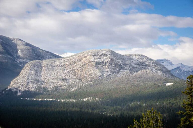 18 Easy Winter Hikes in Banff and Area - Travel Banff Canada