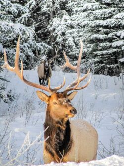 Your Ultimate Guide to Banff in April - Travel Banff Canada