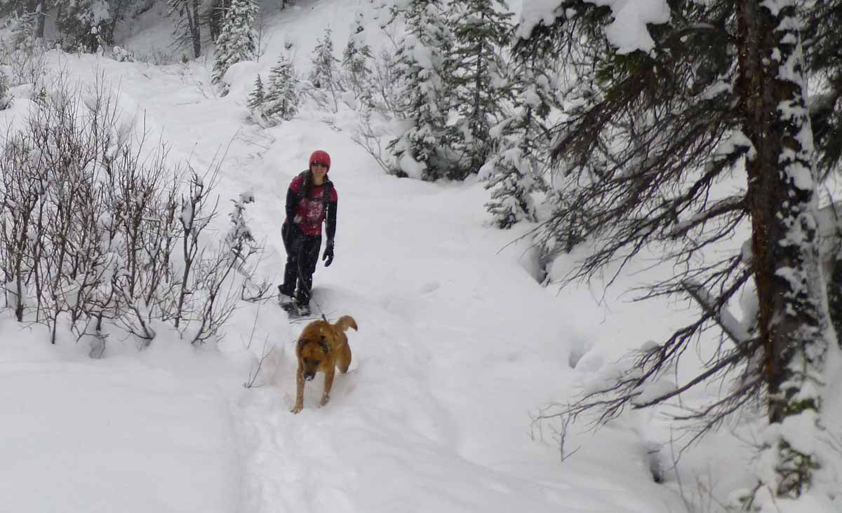 Visiting Banff in December - Travel Banff Canada