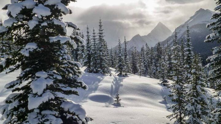 Banff at Christmas - Travel Banff Canada