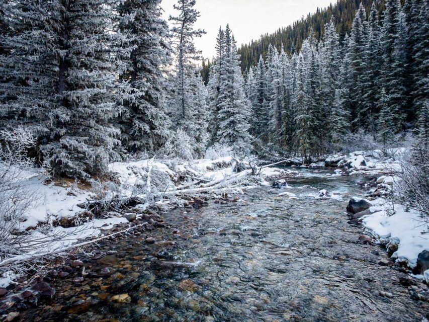 Visiting Banff in December - Travel Banff Canada