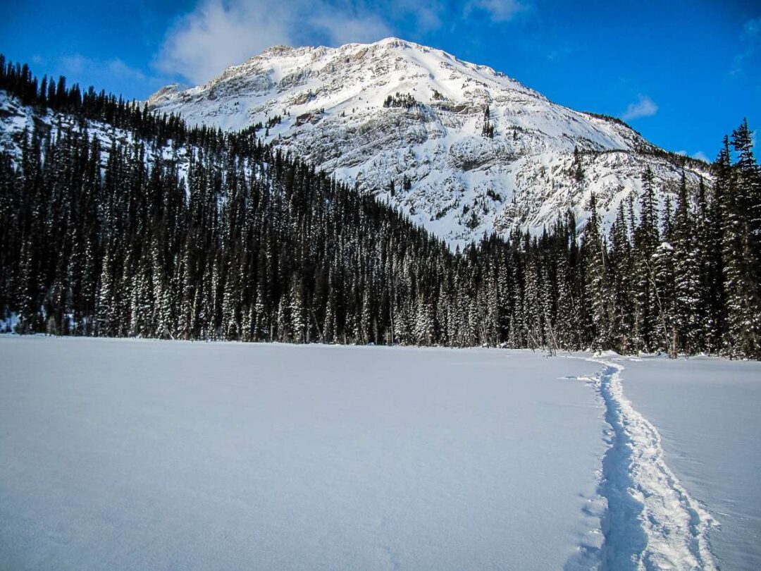 12 Easy Kananaskis Snowshoe Trails - Travel Banff Canada