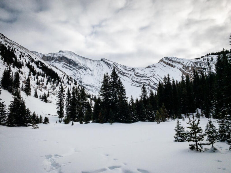 Cascade Amphitheatre Snowshoe Trail in Banff - Travel Banff Canada