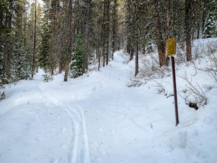 Cascade Amphitheatre Snowshoe Trail in Banff - Travel Banff Canada