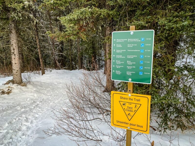 Cascade Amphitheatre Snowshoe Trail in Banff - Travel Banff Canada