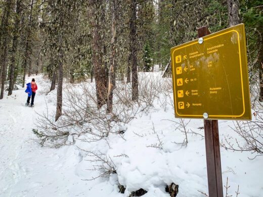 Cascade Amphitheatre Snowshoe Trail in Banff - Travel Banff Canada