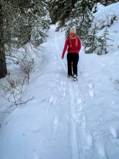 Cascade Amphitheatre Snowshoe Trail in Banff - Travel Banff Canada