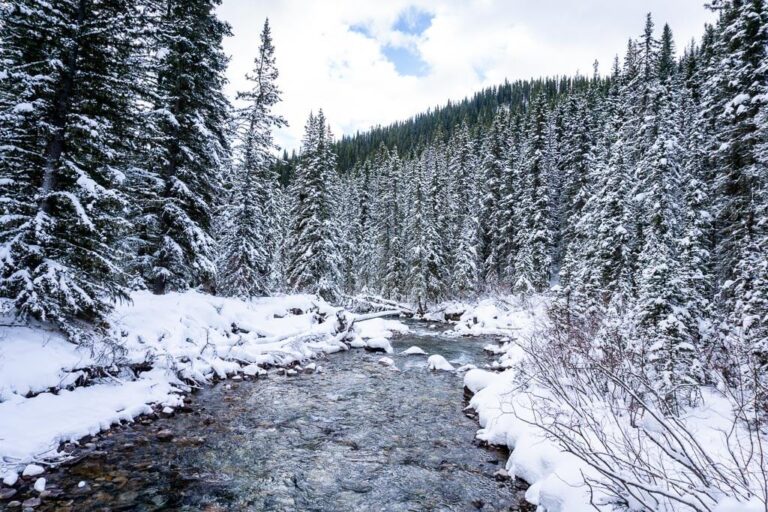 Cascade Amphitheatre Snowshoe Trail in Banff - Travel Banff Canada
