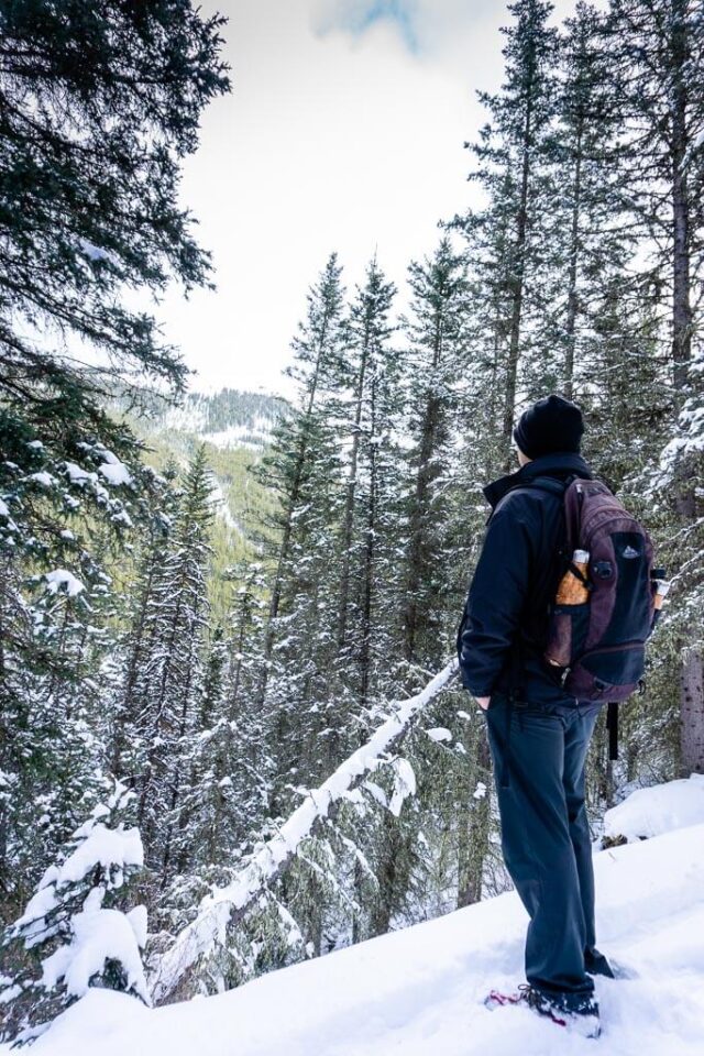 Cascade Amphitheatre Snowshoe Trail in Banff - Travel Banff Canada