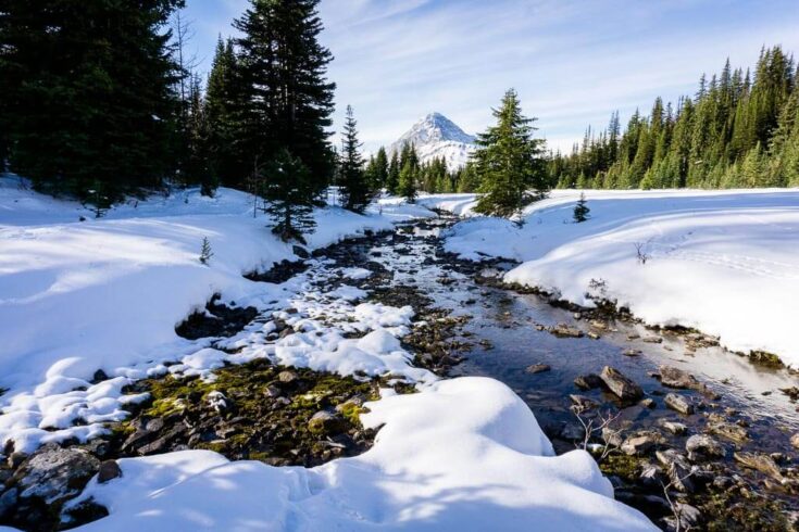 Chester Lake Snowshoe in Kananaskis Country - Travel Banff Canada